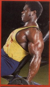 Bertil Fox Gallery – Built Report