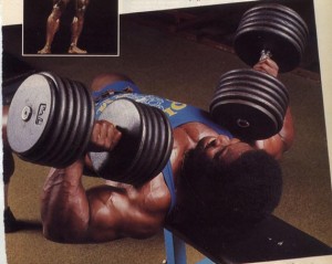 Bertil Fox Gallery – Built Report