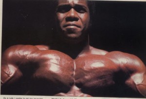 Bertil Fox Gallery – Built Report