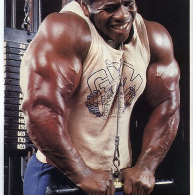 Bertil Fox – Built Report