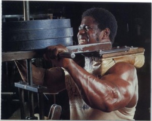 Bertil Fox Gallery – Built Report