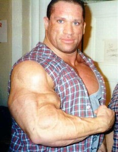 Dave Palumbo Gallery – Built Report