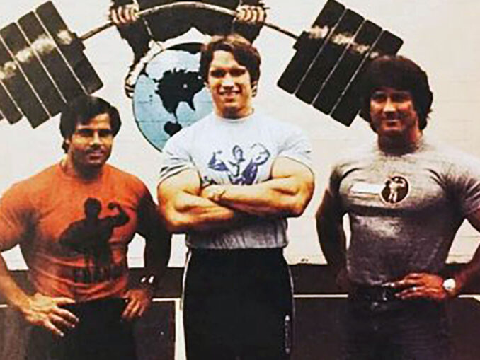 World Gym – Built Report